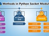 Networking In Python Python Geeks