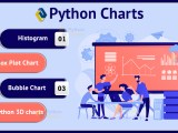 Charts In Python With Examples Python Geeks