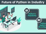 Future Of Python In It Industry Python Geeks