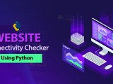Python Website Connectivity Checker Project Python Geeks