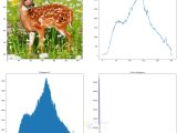 Histogram Equalization In Opencv Python Geeks