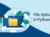 File Uploading With Python Flask Python Geeks