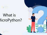 What Is Micropython Python Geeks
