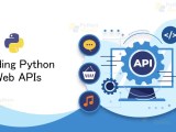 Python Web Apis Python Geeks