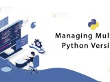 Managing Multiple Python Versions With Pyenv Python Geeks