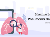 Machine Learning Project Pnuemonia Detection Using Cnn In Python