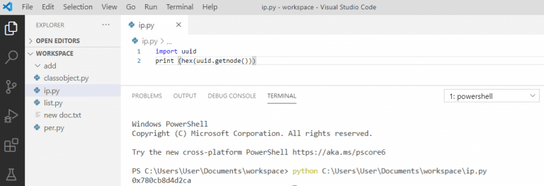 How To Get An IP From A URL In Python? [+5 Examples] - Python Guides