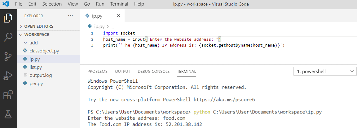 How To Get An IP From A URL In Python? [+5 Examples] - Python Guides