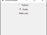 Python Tkinter Radiobutton How To Use Python Guides