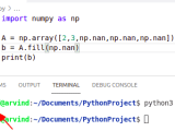 Python Numpy Nan Complete Tutorial Python Guides