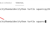 Create A Python Turtle Square