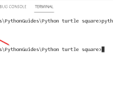Create A Python Turtle Square