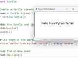 Python Turtle Write Function