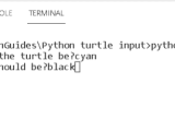 Python Turtle Input With Examples