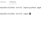 Python Turtle Input With Examples