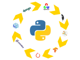 Hire Python Developers Python Guides