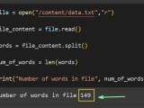 How To Perform Word Count In Python Program