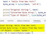 Convert A String To A Byte Array In Python