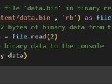 How To Read A Binary File In Python