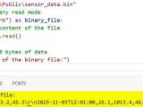 How To Read A Binary File In Python
