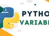 Python Variables Complete Guide