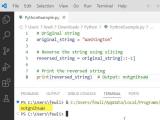 Python String Reversal
