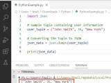 How To Convert A Tuple To Json In Python