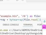 Read A Binary File Into A Byte Array In Python