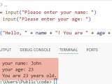 How To Use The Input Function In Python