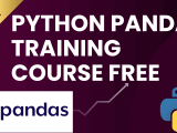 Python Pandas Training Course Free Python Guides