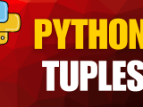 Python Tuples Python Guides