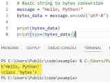 How To Convert String To Bytes In Python