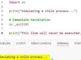 Exit Function In Python