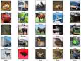 Image Classification Using Cnn In Python With Keras