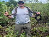 Home Pythonhunting