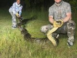 Guided Hunts Python Huntress