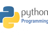 What Is Future Holds For Python Programming Language