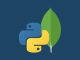 How To Use Python With Mongodb Tutorial Pythonista Planet