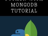 How To Use Python With Mongodb Tutorial Pythonista Planet