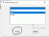 Listbox Widget In Tkinter Gui Programming Python Tkinter Tutorial