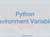 Python Environment Variables Pythonpl