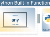Python Any Function With Examples Pythonpl
