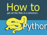 How To Get All The File In A Directory Python Programming