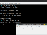 How To Read A File In Python Python