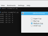 Qbuttongroup Example For Pyqt Learn Python Pyqt