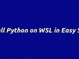 Install Python On Wsl In Easy Steps