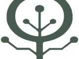 Quake1 Web Tools