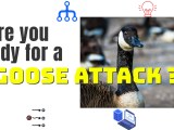 Getting Started With Goose Qainsights