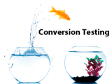 Conversion Testing Qatestlab