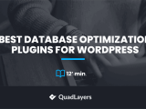Best Database Optimization Plugins For Wordpress Quadlayers